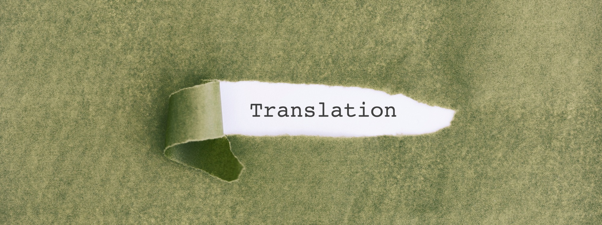 Anthea Bell Prize for Young Translators Winner! - News - Simon Langton ...